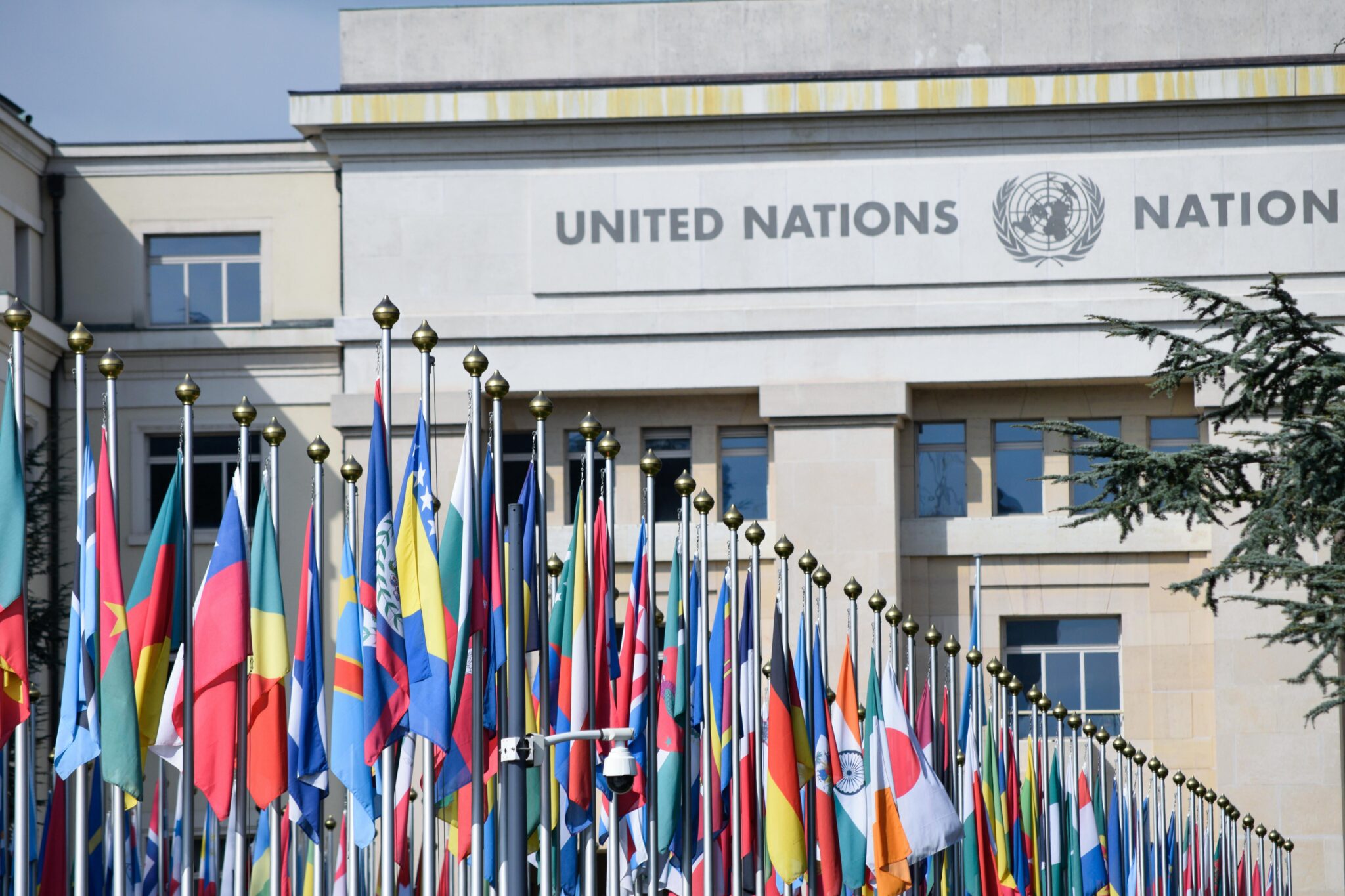 United Nations Online Volunteer Program 2025 - Glorno